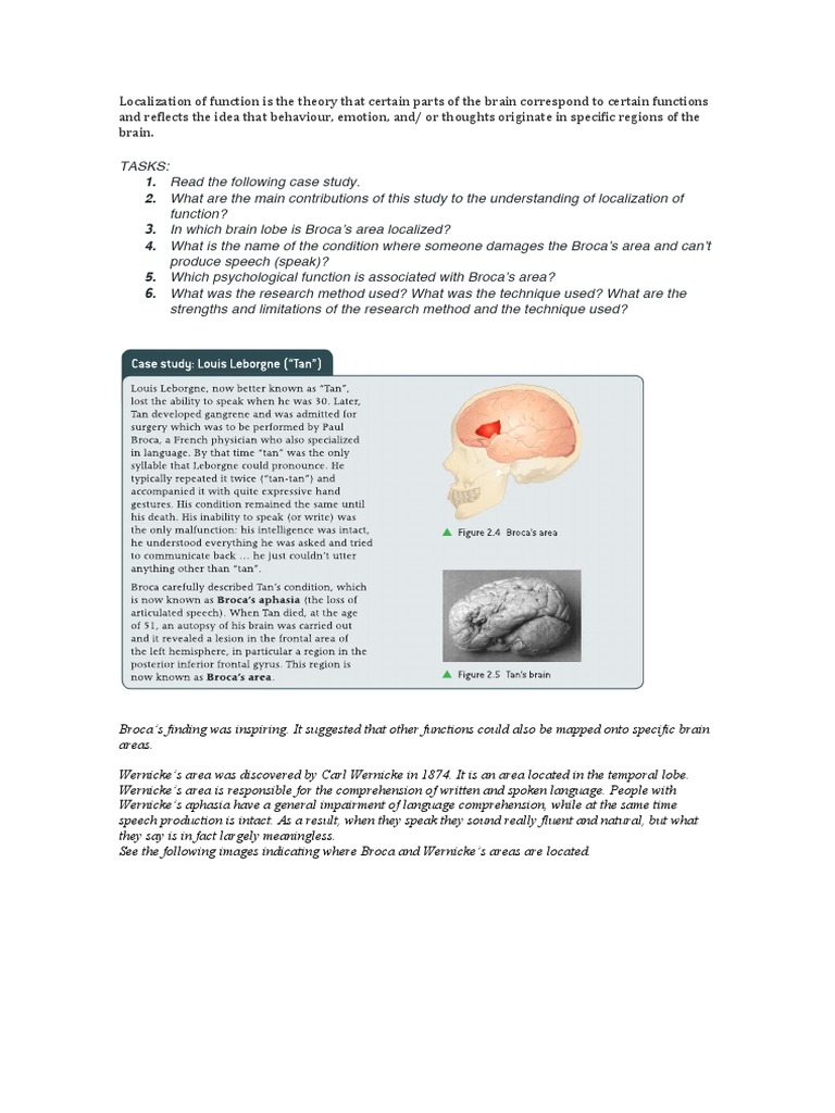 Localization of Function Worksheet | PDF | Speech | Nervous System