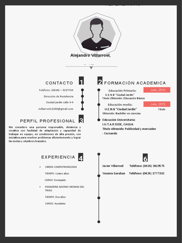 Curriculum Alejandro Villarroel | PDF