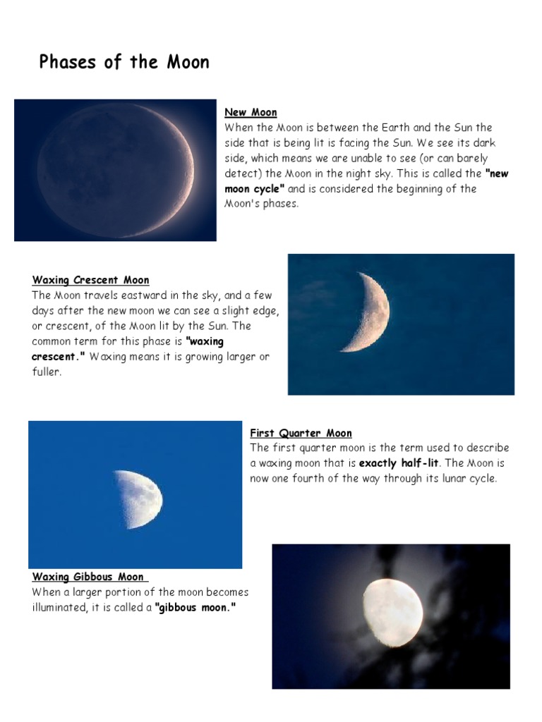 Phases of The Moon | PDF | Moon | Scientific Observation