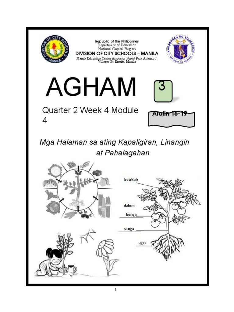 SCIENCE 3 Q2 Mod4 | PDF