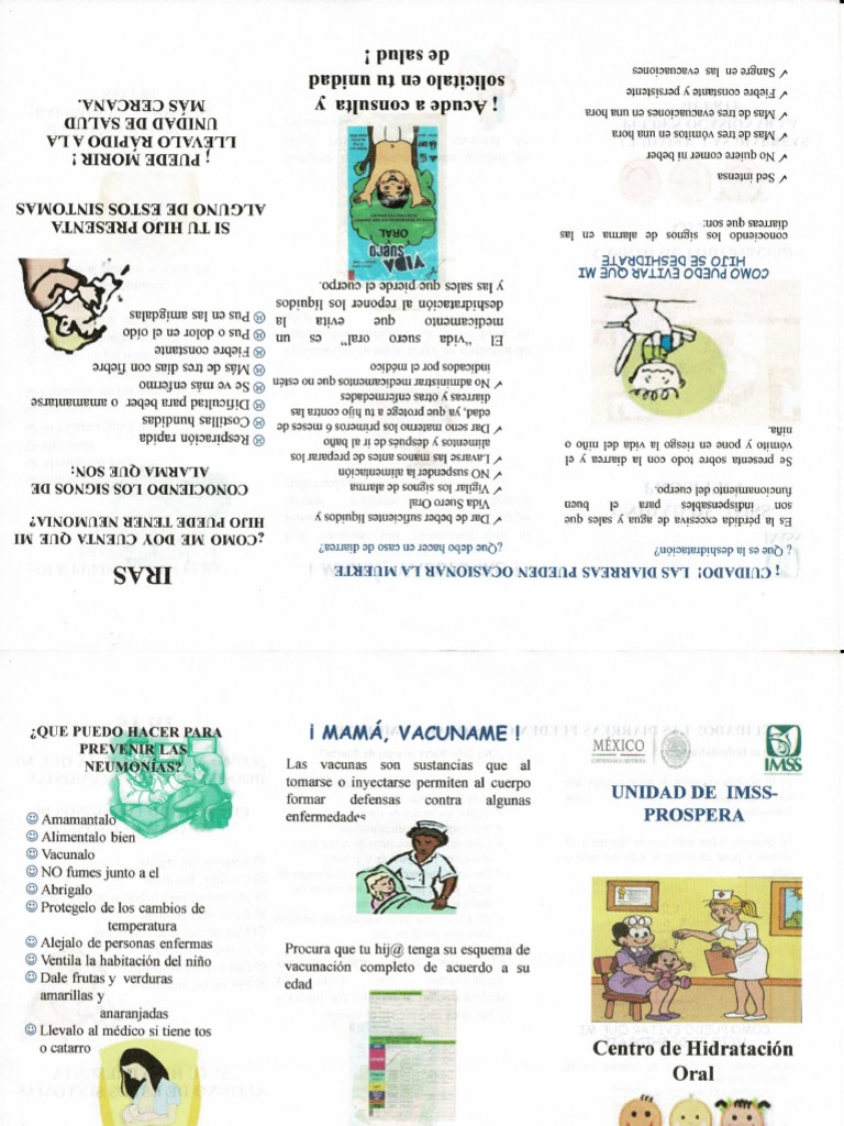 Triptico Iras y Edas | PDF