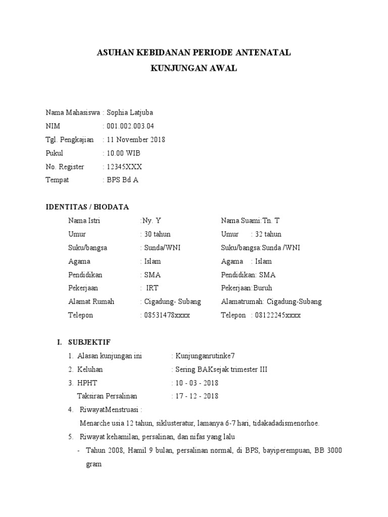 Asuhan Kebidanan Antenatal Ibu Hamil | PDF | Kesehatan Holistik