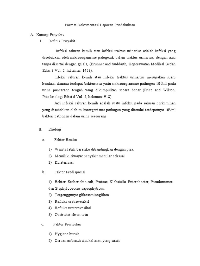 Format Dokumentasi Laporan Pendahuluan | PDF