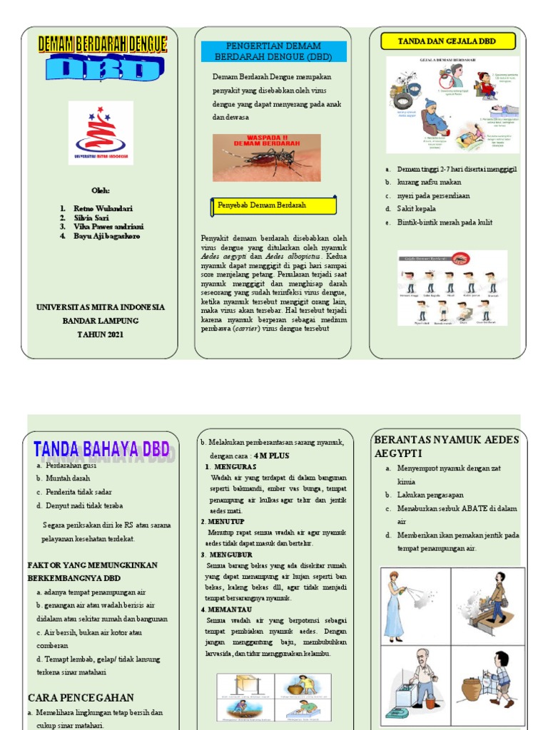 Leaflet DBD | PDF