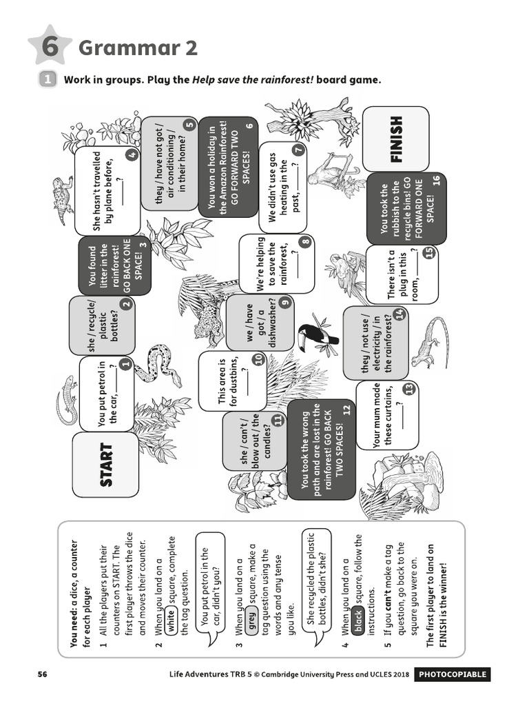 Life Adventures 5 - Grammar Worksheet - Unit 6 - 2 | PDF
