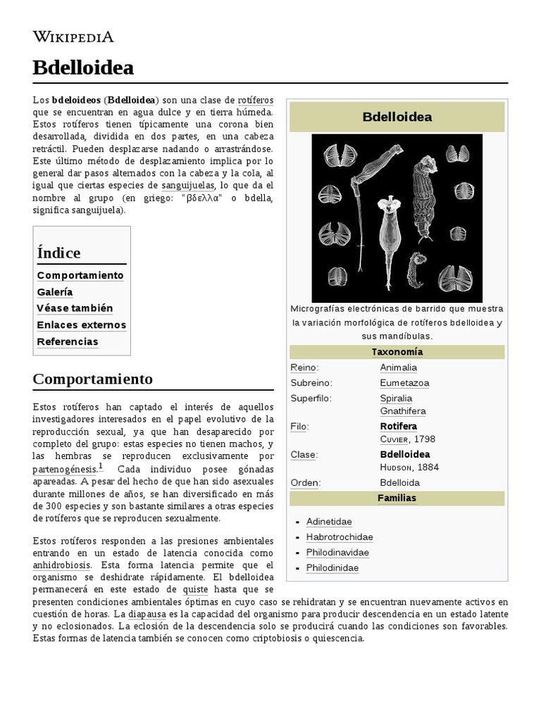 Bdelloidea | PDF | Biología | Organismos