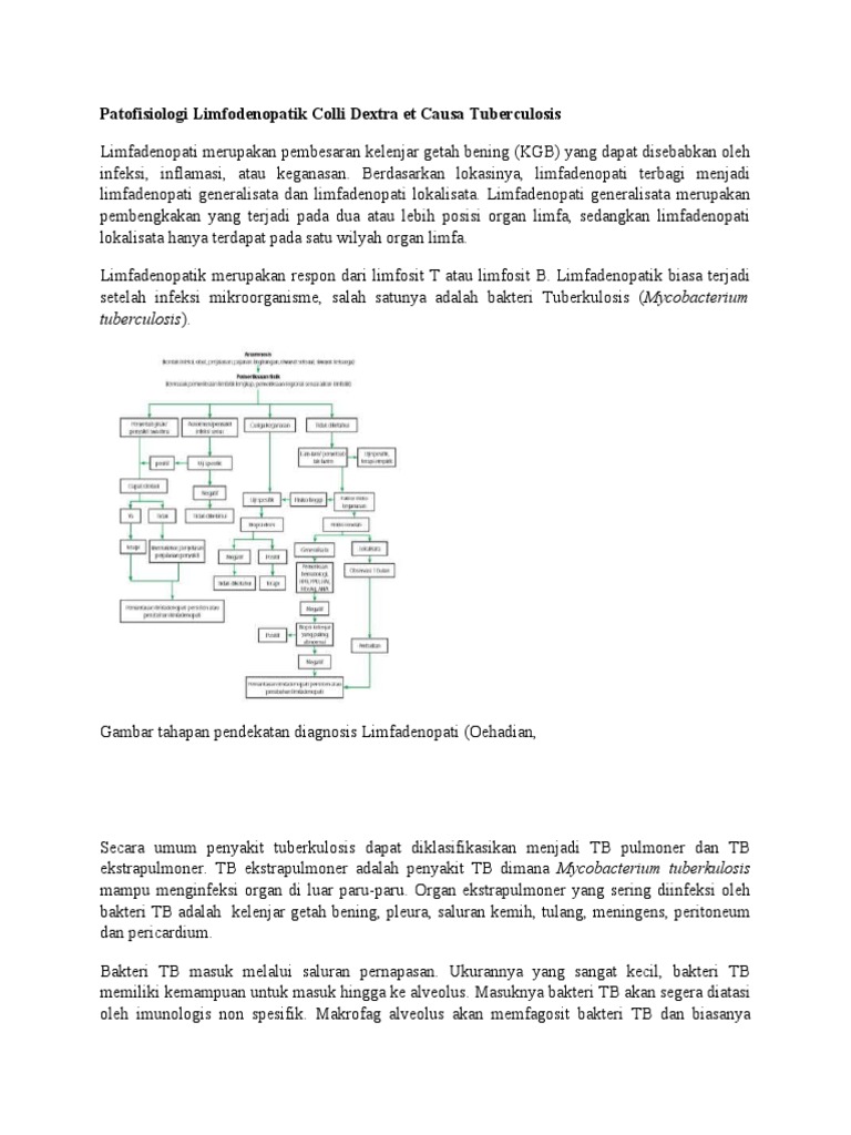 Patofisiologi Limfodenopatik Colli Dextra Et Causa Tuberculosis | PDF
