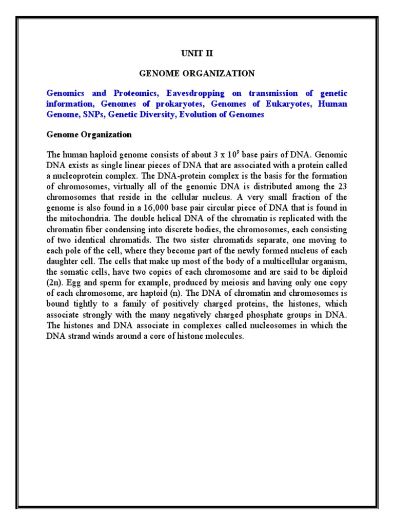 Unit Ii | PDF | Open Reading Frame | Genetic Code