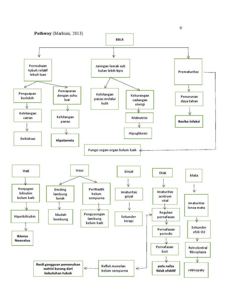 Pathway Hiperbilirubin | PDF