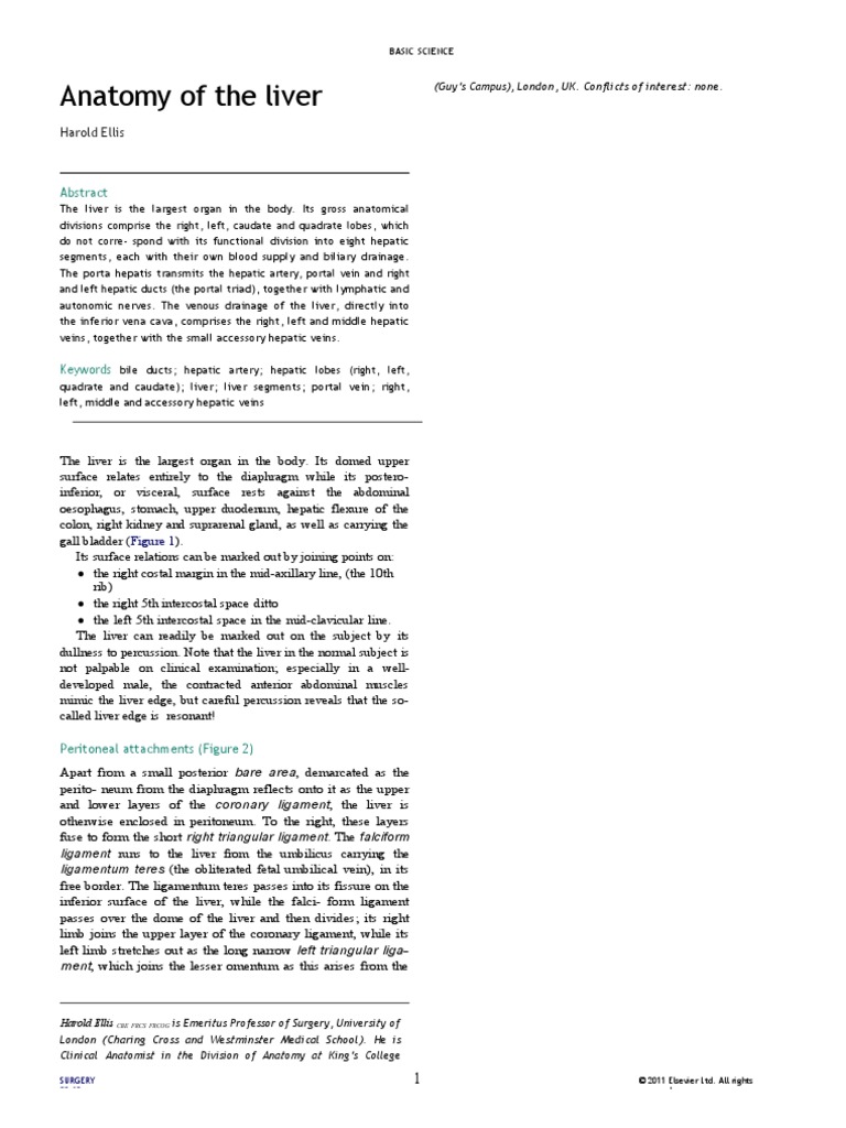 Anatomy of The Liver | PDF | Liver | Vein