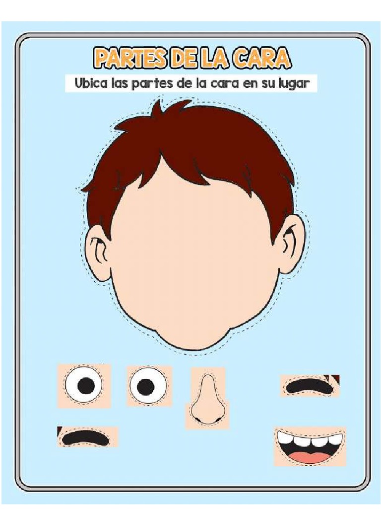Ficha - Partes Del Rostro | PDF