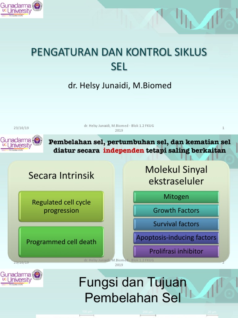 Kontrol dan Regulasi Siklus Sel | PDF