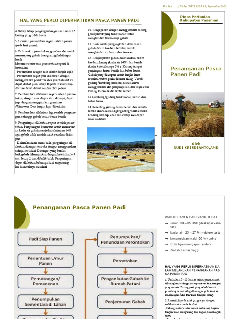 Penanganan Pasca Panen Padi | PDF