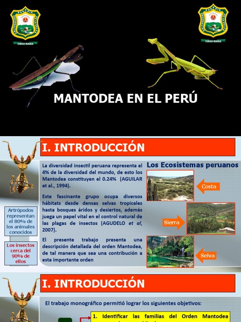 Mantodea Del Peru | PDF | Taxa | Artrópodos