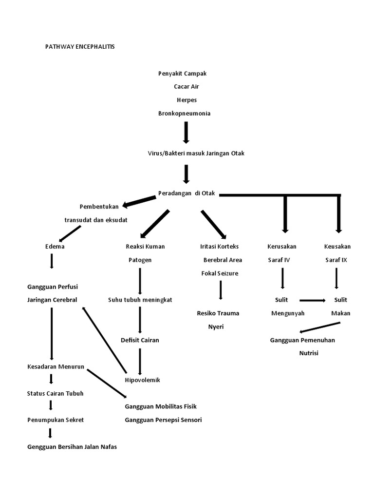 PATHWAY - ENCEPHALITIS - Tugas - Anak - Kelompok - 5 (1 New) | PDF