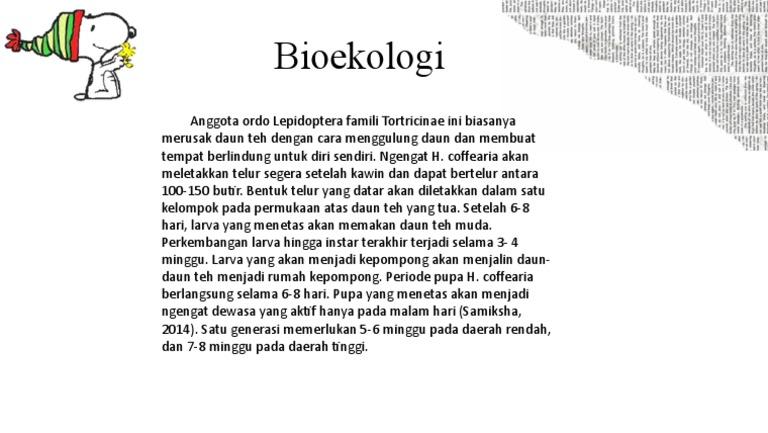 Bioekologi Homona Coffearia | PDF