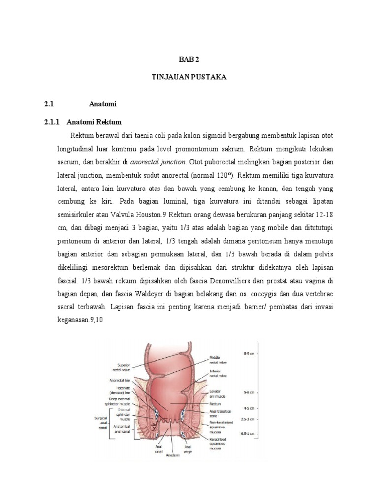 Kanker Rektum Bab Dua | PDF