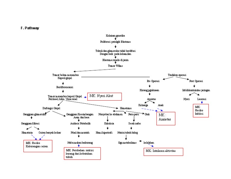 Pathway Tumor Wilms | PDF