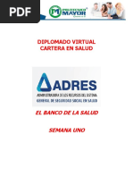 Qué Es La ADRES | PDF