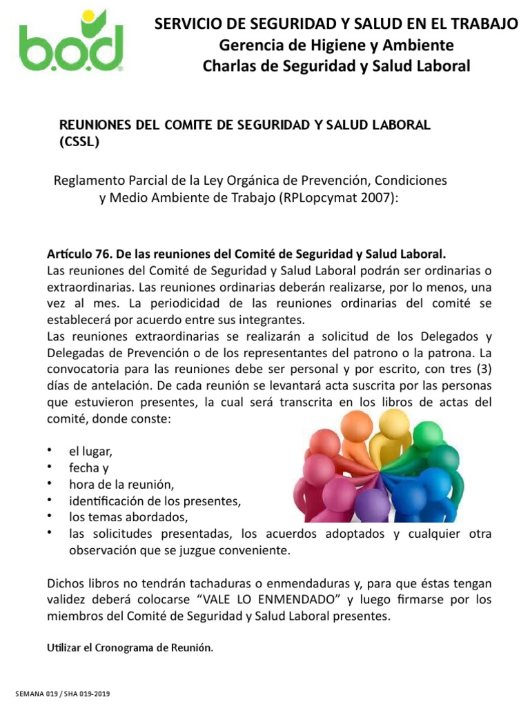 Charla 019-2019 REUNIONES CSSL | PDF