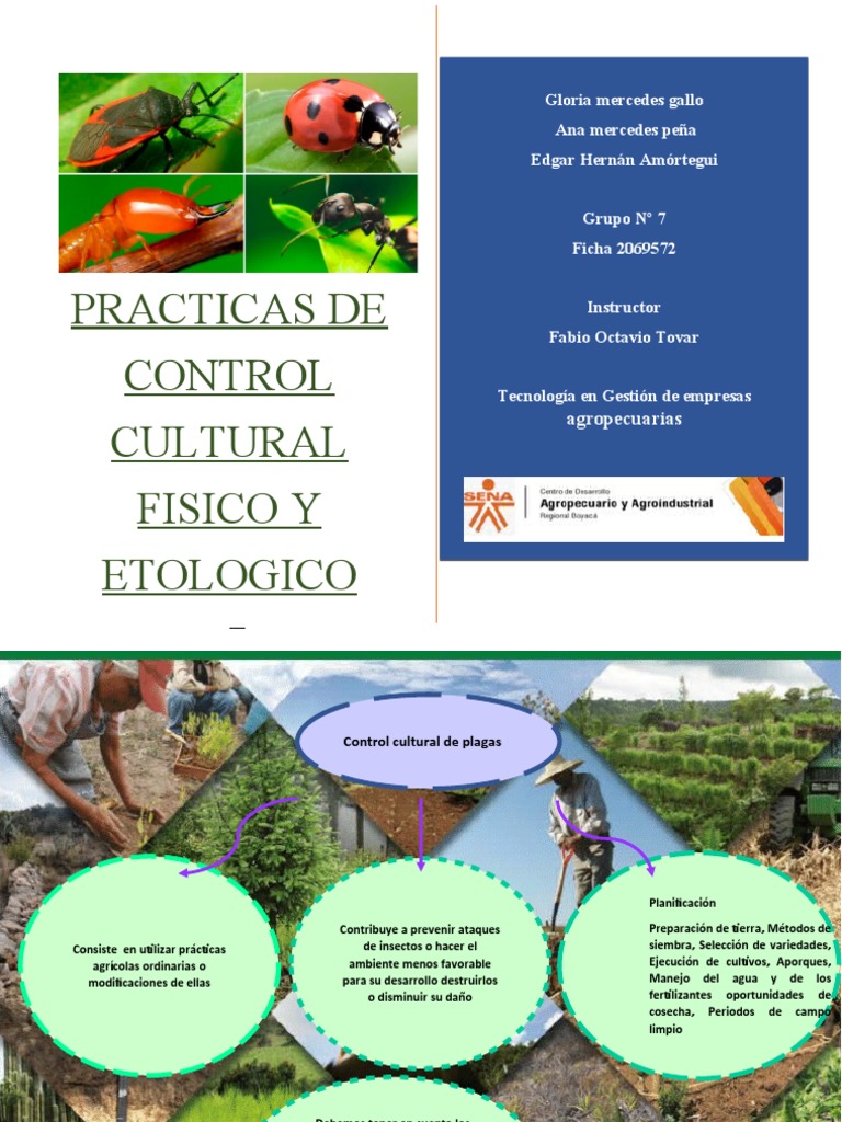 Practicas de Control Cultural Fisico y Etologico | PDF | Feromona ...