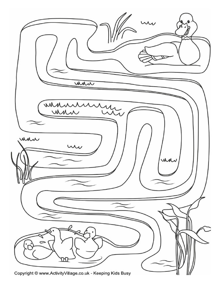Duck Maze | PDF