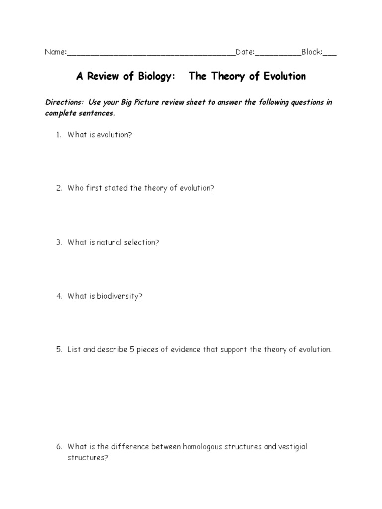 Big Picture Questions Evolution | PDF