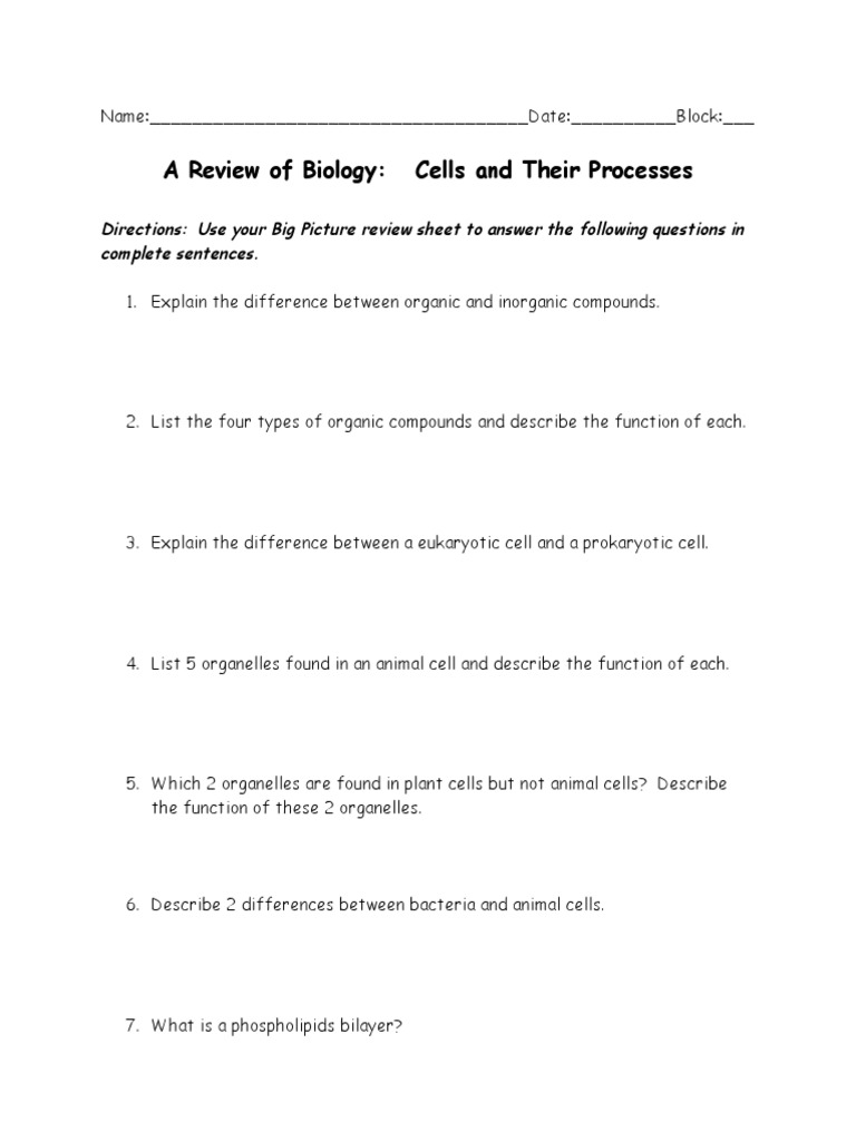 A Review of Biology: Cells and Their Processes | PDF