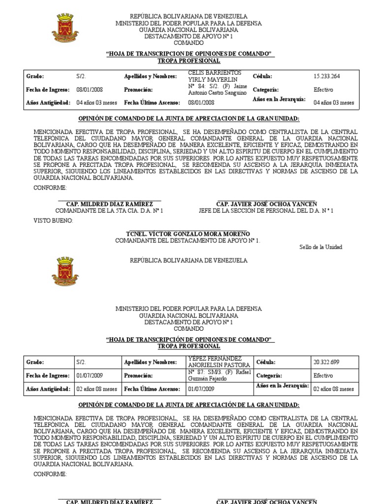 Opinion de Comando | PDF | Oficial general | Militar