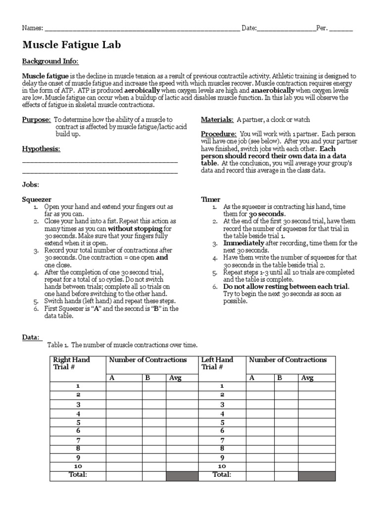 Muscle-Fatigue-Lab Vids | PDF | Muscle | Sports Science