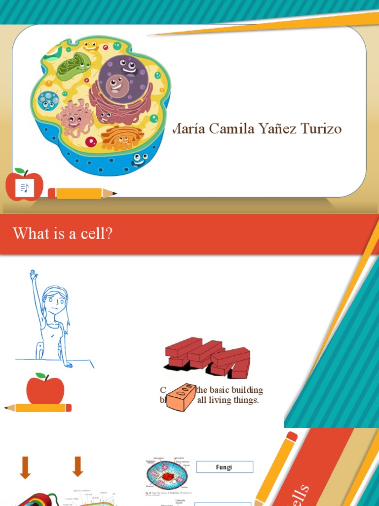 Cell Theory | PDF | Eukaryotes | Cell (Biology)