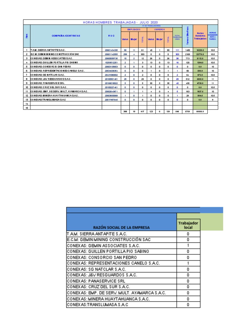 Anexos Estamin - Julio 2020 | PDF