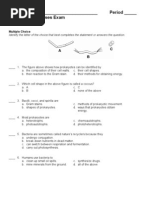 Multiple Choice Questions Class 5 Science | PDF | Seed | Bacteria