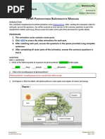 Photosynthesis Hhmi Biointeractive | PDF | Photosynthesis | Physiology