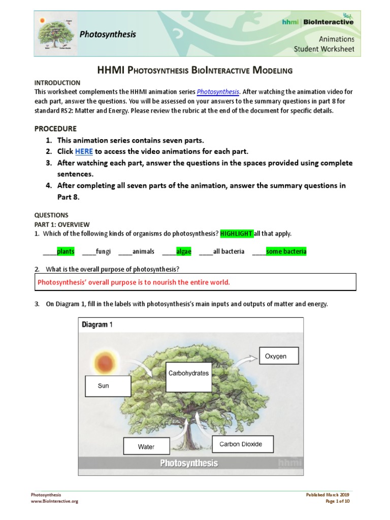 Photosynthesis Notes | PDF | Photosynthesis | Biochemistry