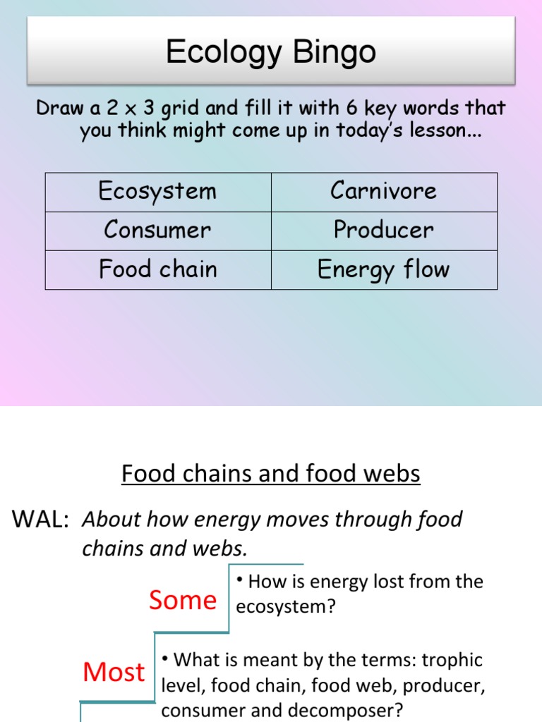 Understanding Food Chains and Ecosystems | PDF | Food Web | Ecosystem