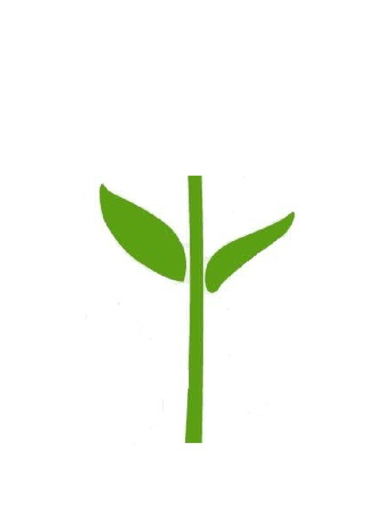 Printable Tangkai Bunga | PDF