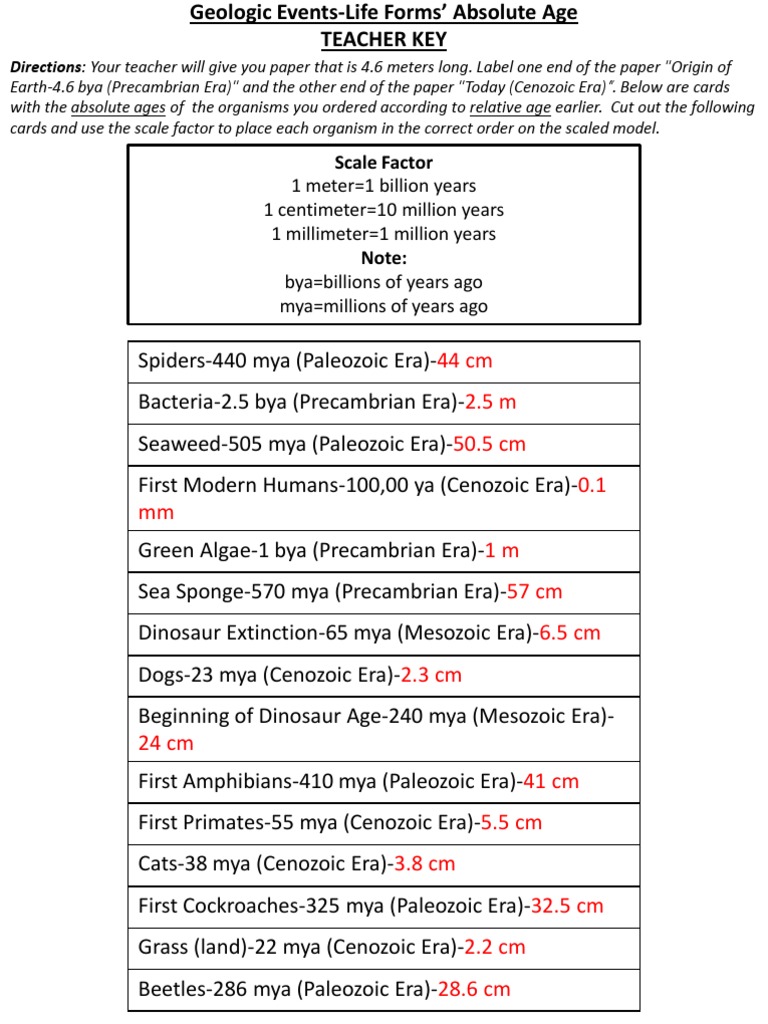 Absolute Age of Life Forms Timeline | PDF