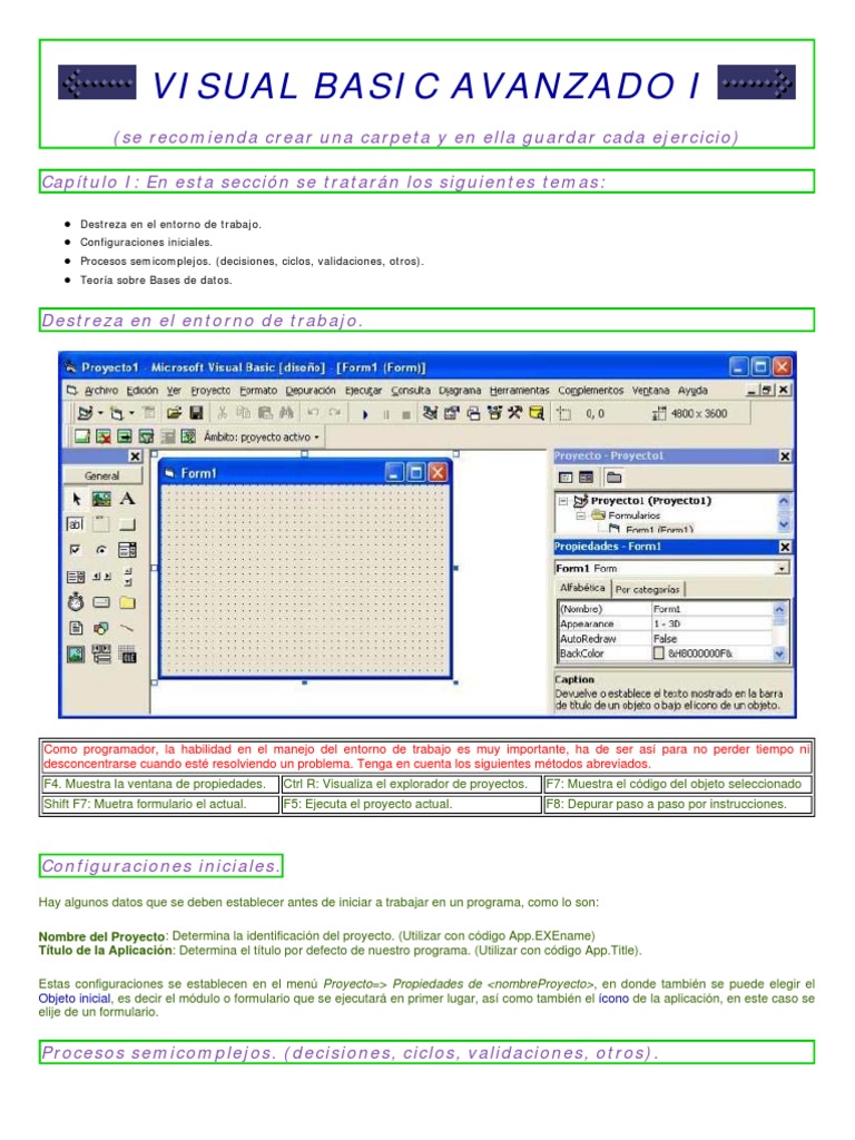 Visual Basic Avanzado: Fundamentos y Prácticas | PDF | Bases de datos | Áreas de informática