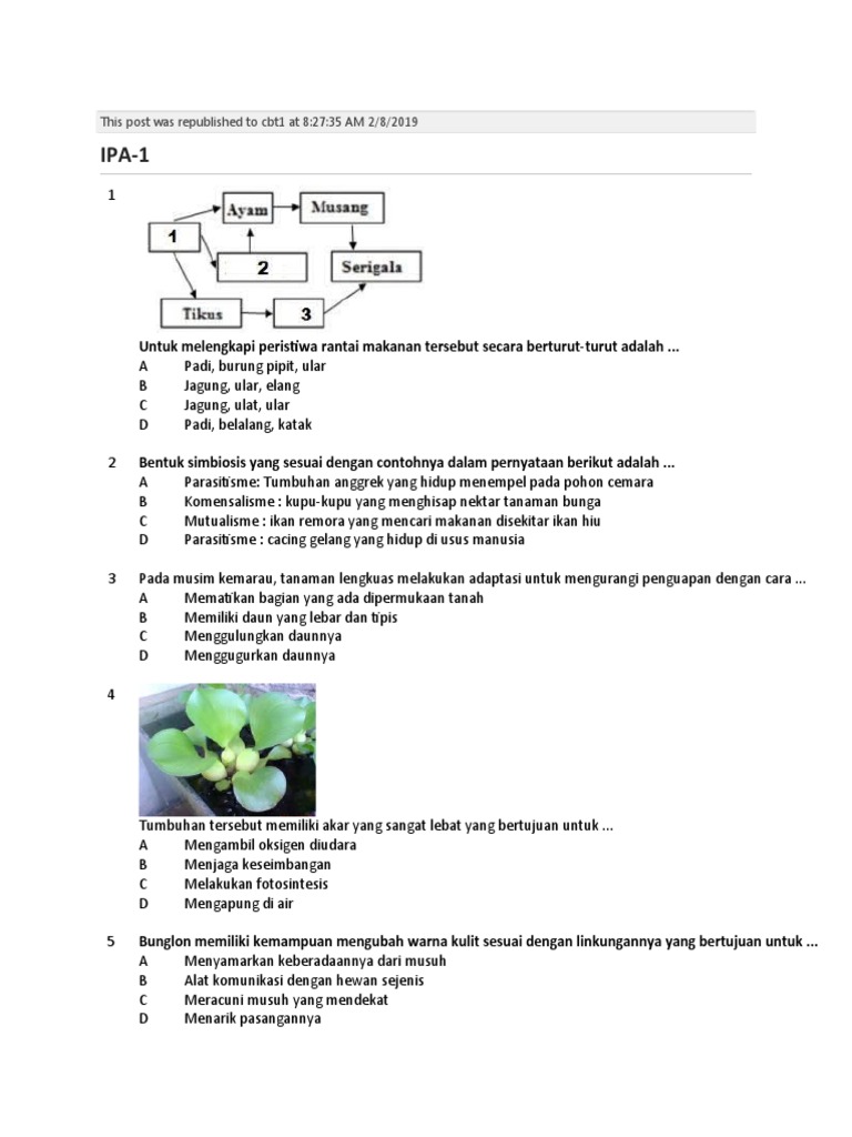 Pat Ipa Kelas 6 Tahun 2021 | PDF