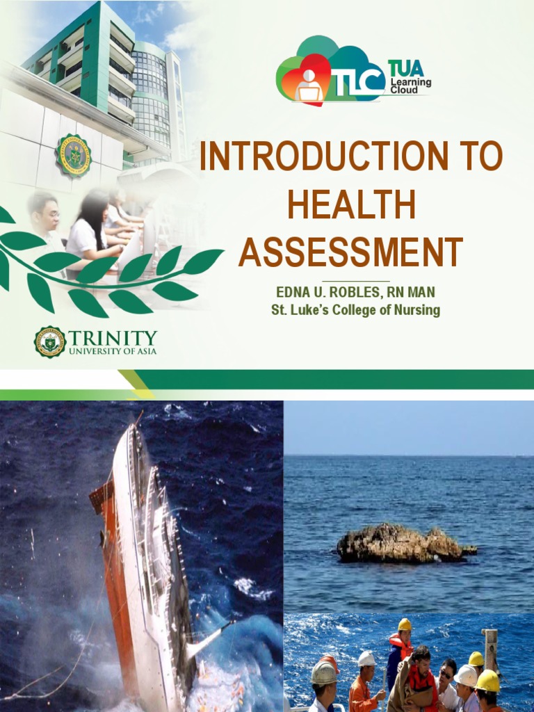 Health Assessment Introduction | PDF | Physical Examination | Critical ...
