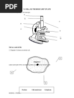 Modul Science Form 1 | PDF | Density | Gases