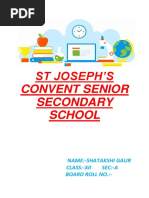 Term 1 IP Practical File 2021-22 | PDF | Chart | Computing
