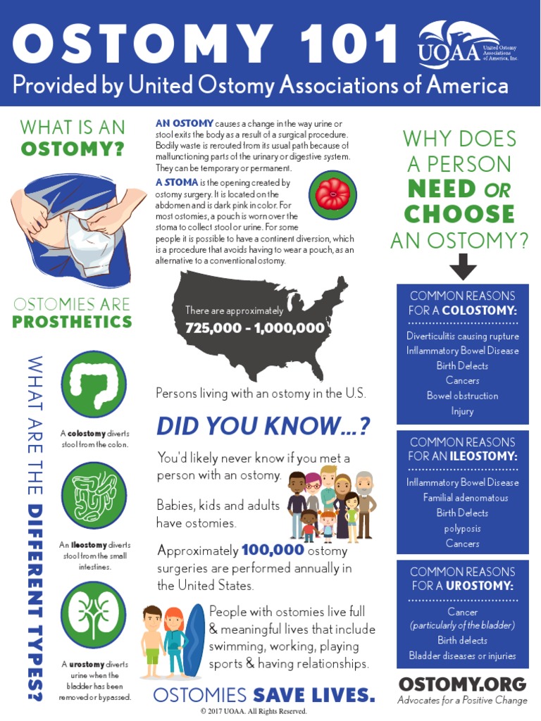 Ostomy Infographic 20170812 | PDF | Digestive System | Surgical Specialties