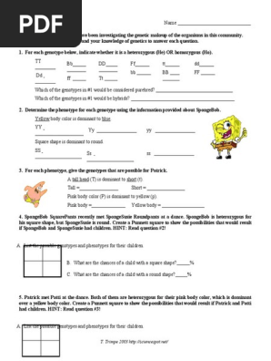 Genetics Worksheet Answers Sci 230 Genetics Review Activity: QR Code
