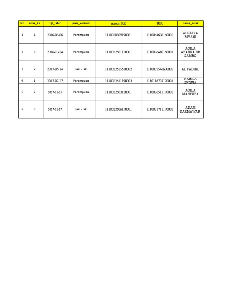 Contoh Format Identitas | PDF