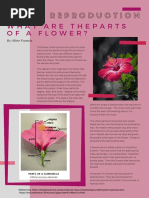 Rose Flower Anatomy and Functions | PDF