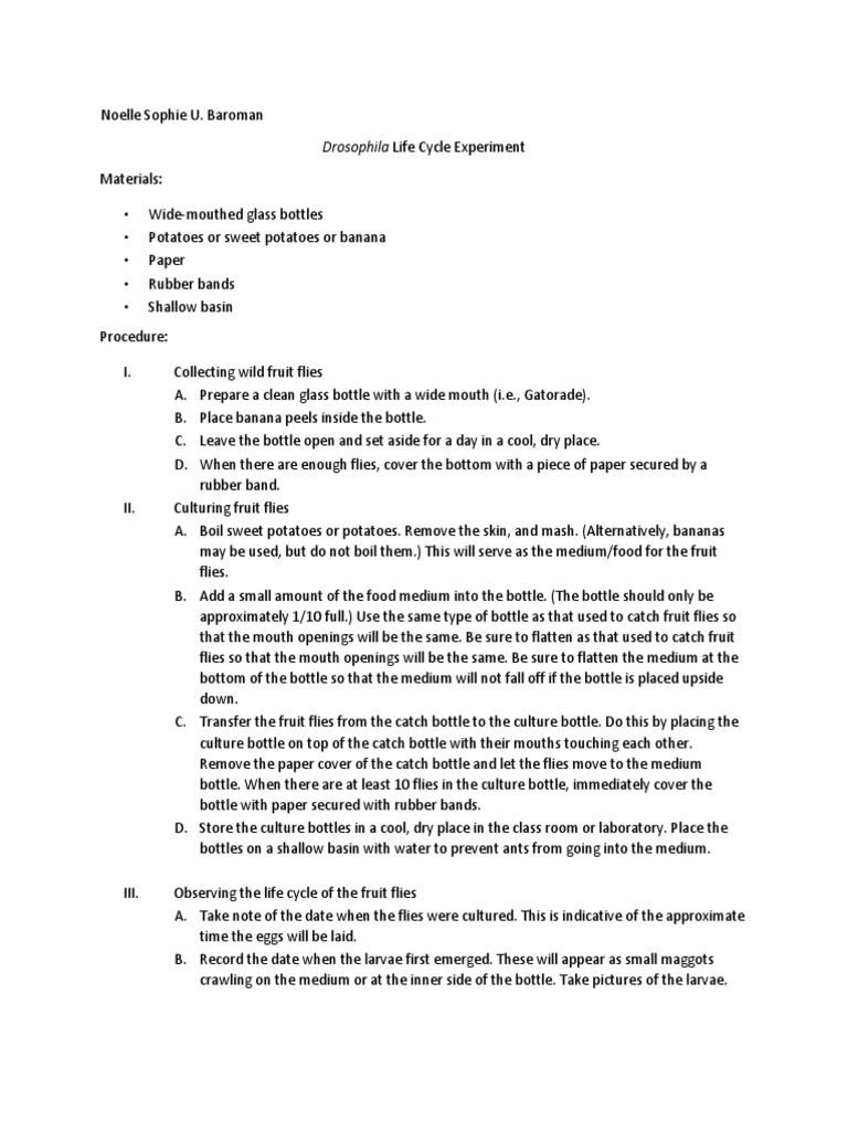 Reproduction and Development LAB EXERCISE | Download Free PDF ...