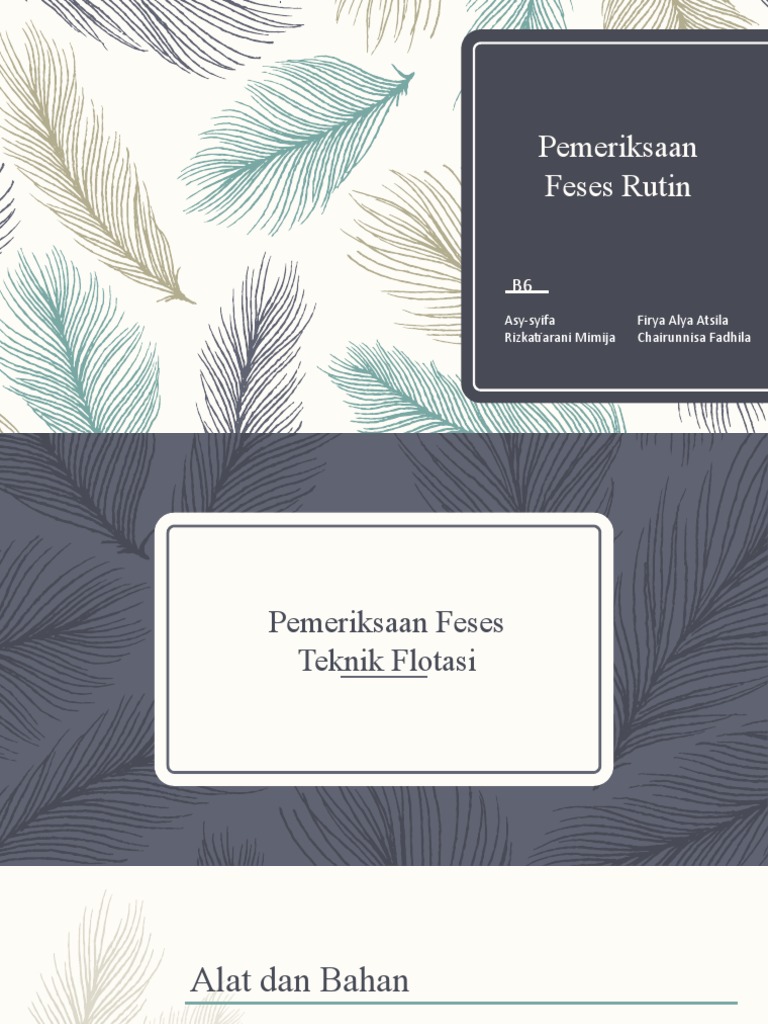 Pemeriksaan Feses Rutin | PDF