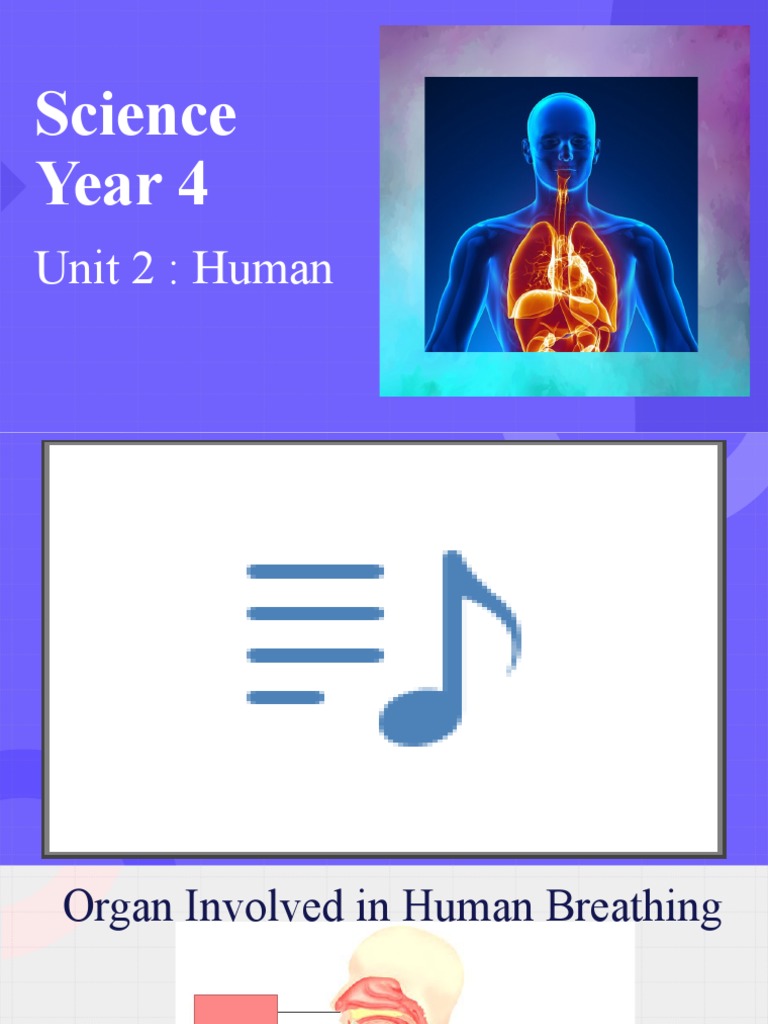 Science Year 4 Human Breathing Process | PDF